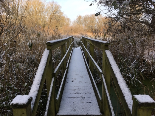 Spotlight | It's winter again - Withymead Nature Reserve
