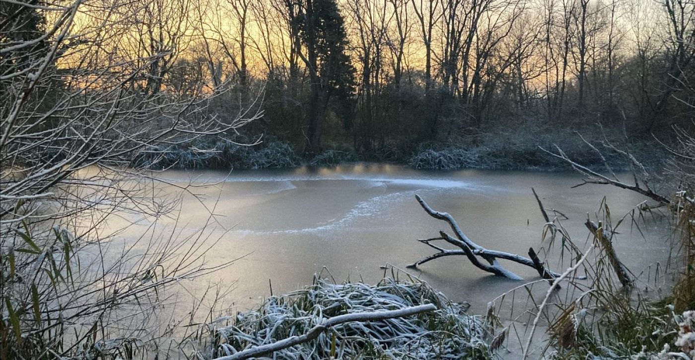 Spotlight | It's winter again - Withymead Nature Reserve